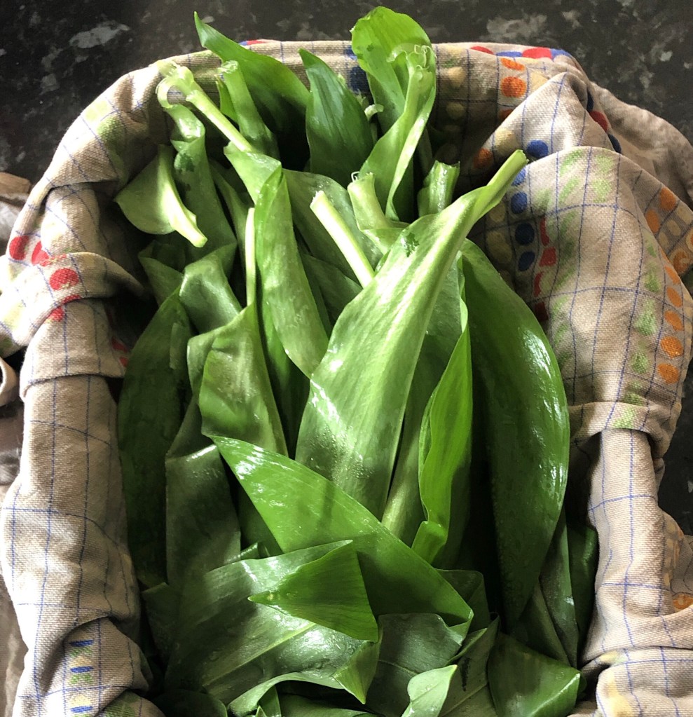 Recipe: Wild Garlic Pesto – Coastal Vegans